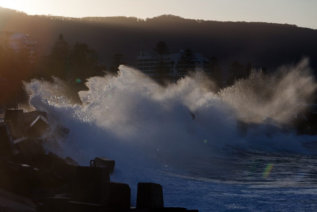 The Illawarra – Dragon Photography